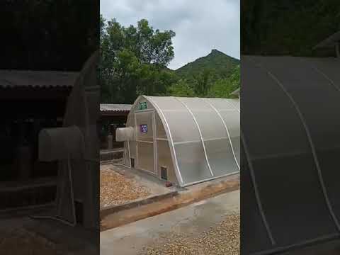 Solar Dryer - solar air dryer Latest Price, Manufacturers & Suppliers