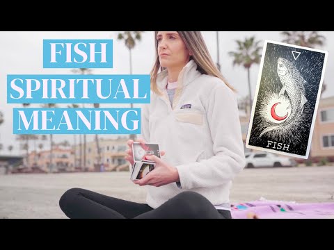 Fish Spiritual Meaning | Animal Signs & Symbolism