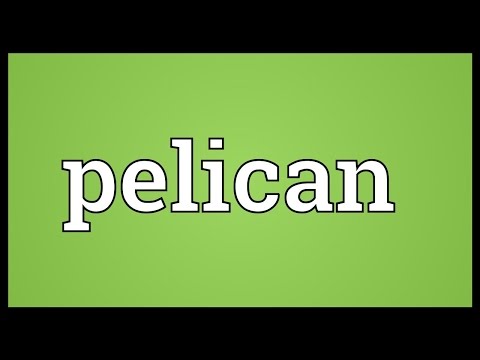 Pelican Meaning