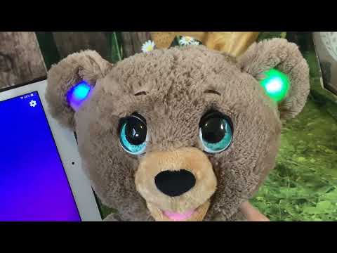 New Interactive Animatronic Toys 2024: Poe AI Story Bear Unboxing, Demo & Review #toys #newtoys