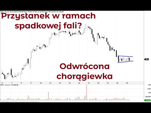 PKO BP 23.10.2024 r. – 100s z Piotrem Neidek