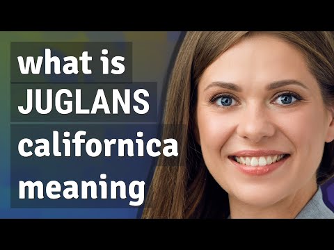 Juglans californica | meaning of Juglans californica