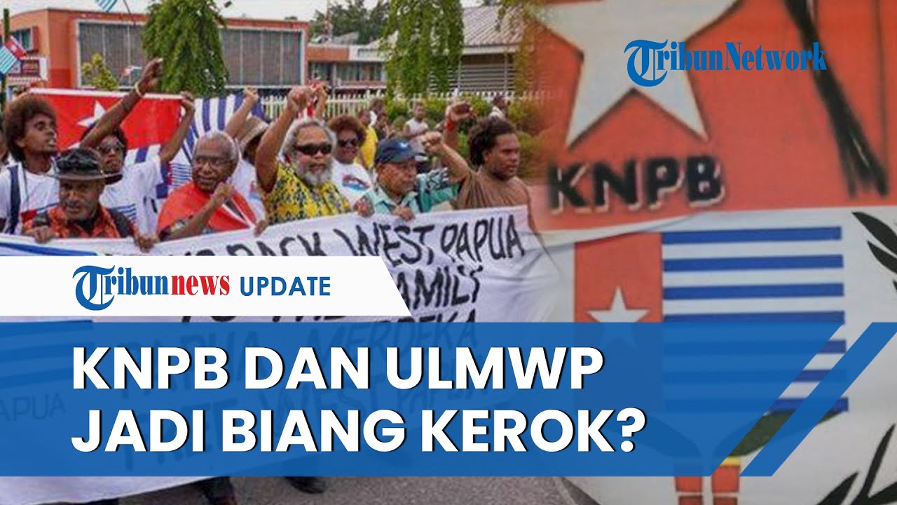 Profil KNPB dan ULMWP yang Diduga Jadi Dalang Kerusuhan Iring-iringan ...