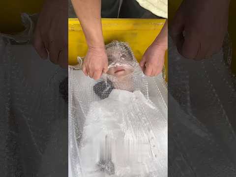 unboxing silicone doll