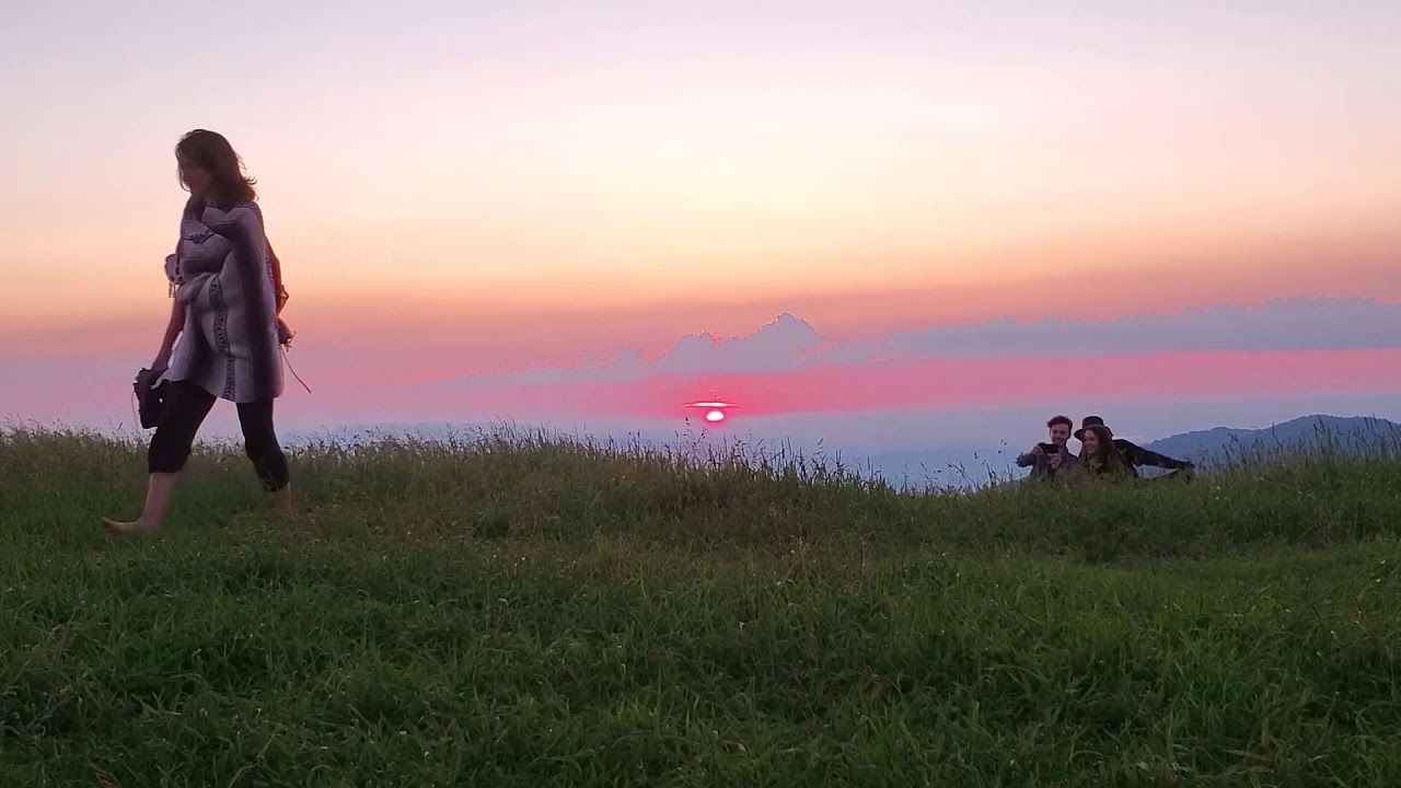 Max Patch
