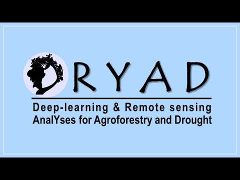 01) DRYAD Demo - Introduction