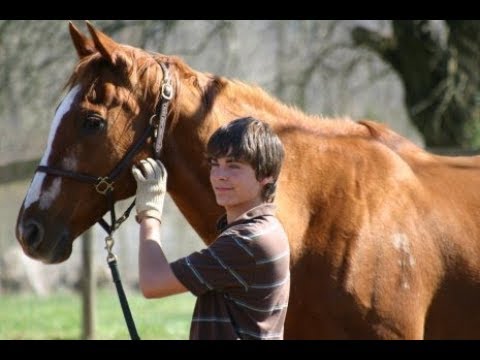 Gyerek a nyeregben (2005) Teljes film magyarul HD