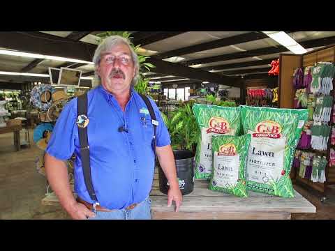 G&B Organics Lawn Fertilizer