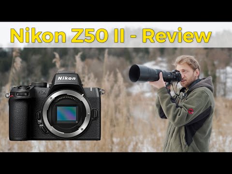 Nikon Z50 II: Wildlife photography (1784)