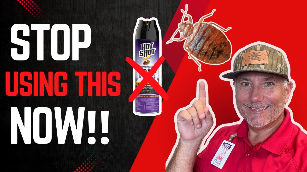 Bed Bug Treatment Mistakes That Make Infestations Worse!