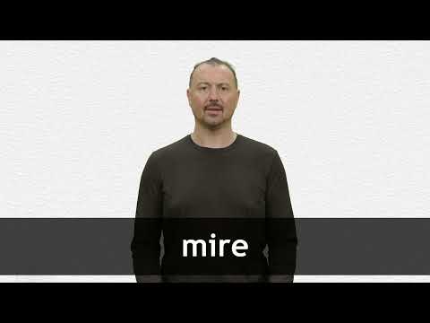 English Translation of “MIRE” | Collins French-English Dictionary