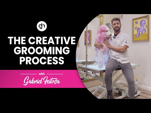 The Creative Grooming Process w/ Gabriel Feitosa
