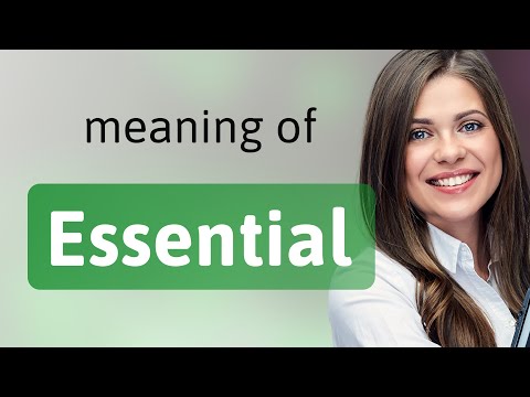 Essential | ESSENTIAL definition