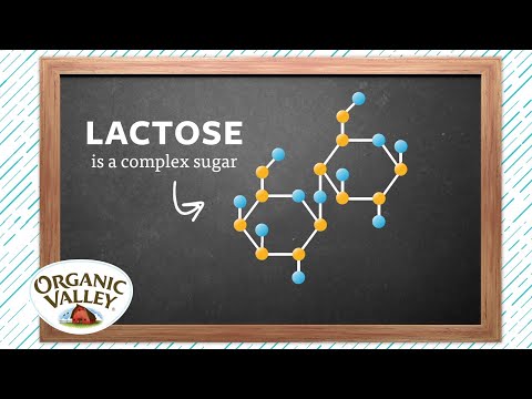 What you don't know about Lactose Free milk #shorts