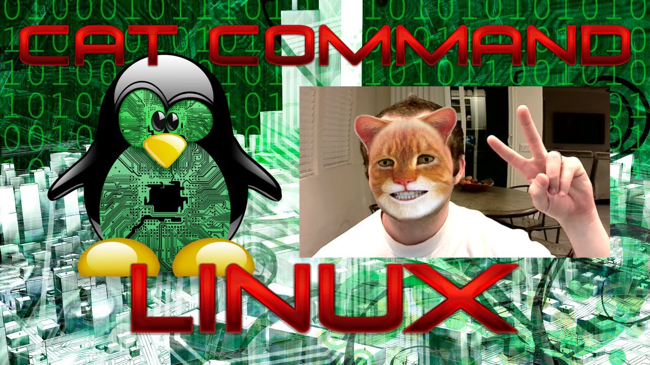 Using cat command in Linux with step-by-step Examples | Learn Linux Now!