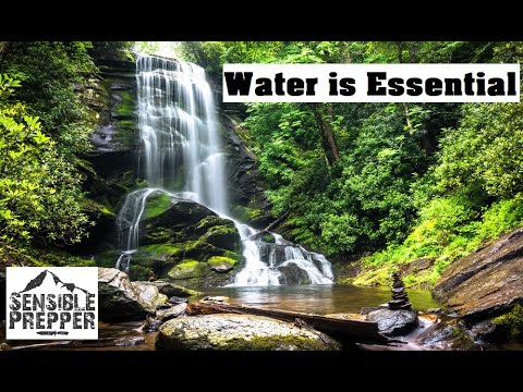 Water is Essential : How to Treat, Filter, Store and Acquire for Survival
