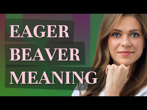 Eager beaver | meaning of Eager beaver
