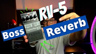 Boss RV-5 Digital Reverb - What To Know & Where To Buy | Equipboard