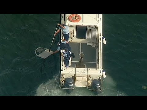 Aftermath of deadly sea plane crash in Australia | Earth Extremities