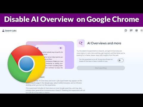How to Turn Off AI Overview Features on Google Chrome?