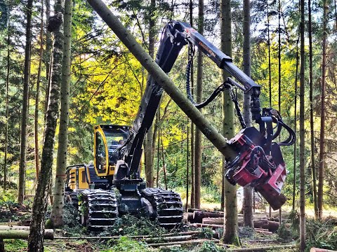 🌲HSM 405-H4 • *THE biggest Harvester* • Forstbetrieb Aichholz • X270 & Waratah 415 🌲