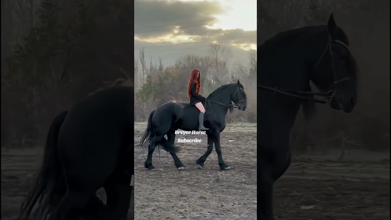 #beautiful  #redhead #Riding  #Beautiful #Horse@horsevideo #girl #horsering #equestrian #short