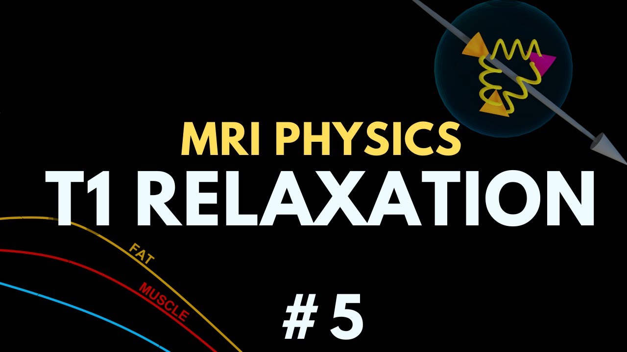 Understanding T1 Relaxation in MRI: Spin-Lattice Relaxation Explained ...