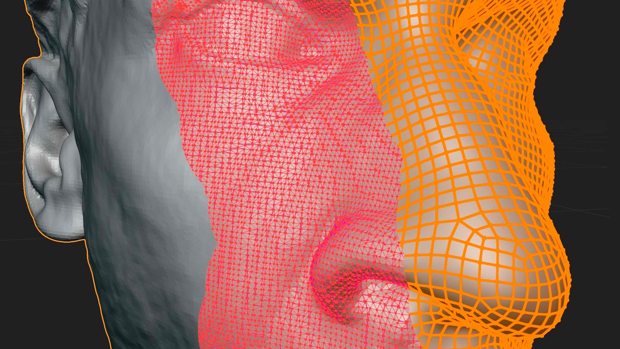 Remesh 3D Model to Quads Tutorial - Instant Meshes