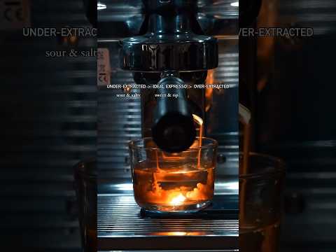 How’s your Espresso? #bts #barista #cafe #coffee #espresso #espressoshot #espressomaker #extraction