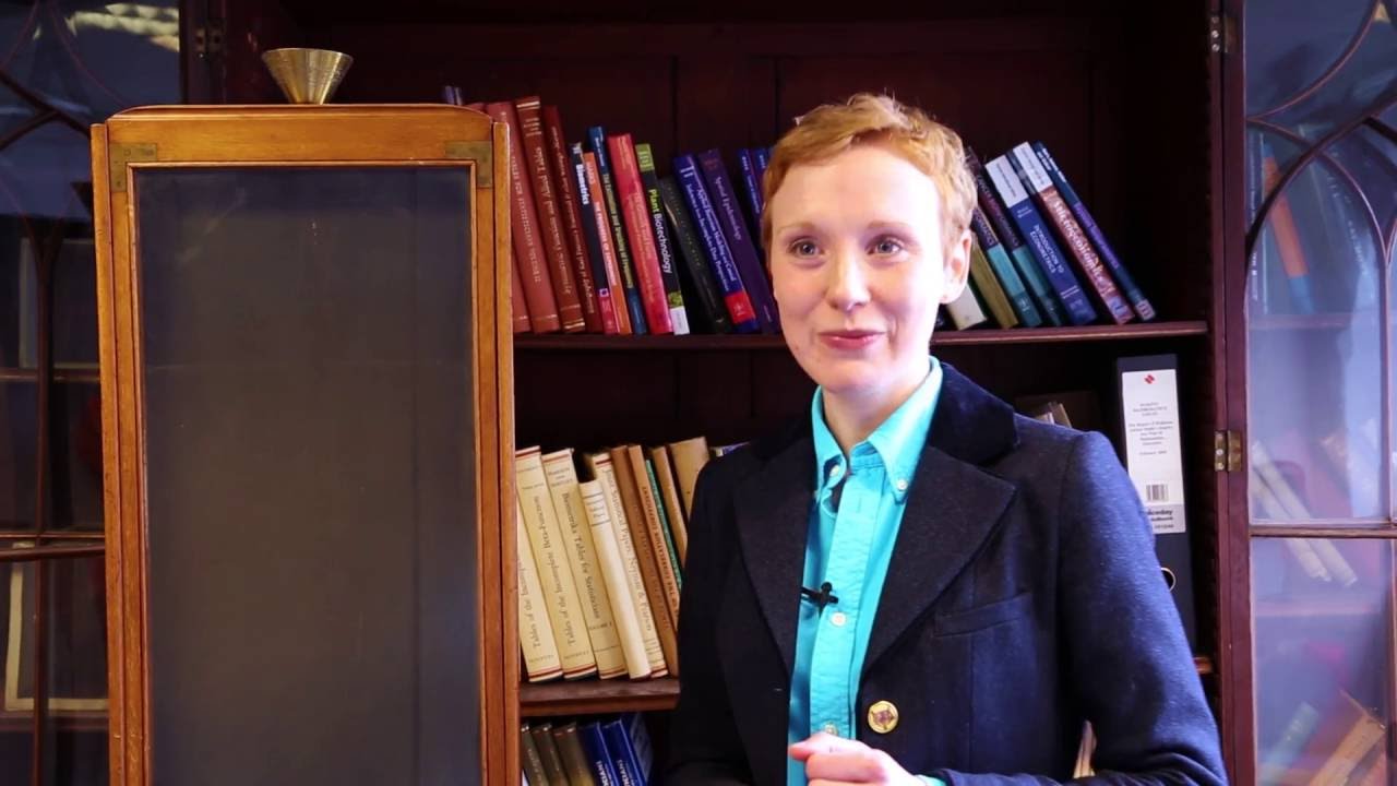 UCL Statistics Bean Machine