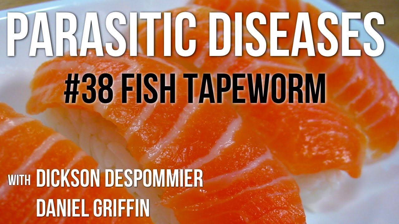 Parasitic Diseases Lectures #38: Fish Tapeworm