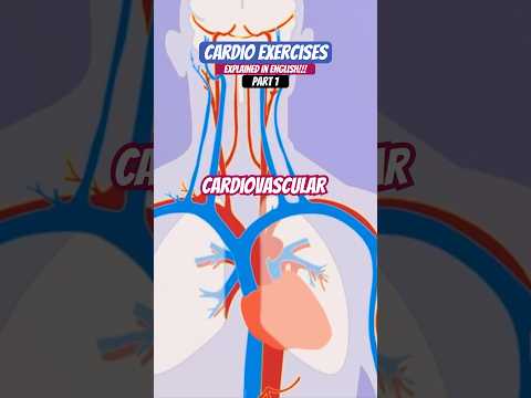 Part 1 What is Cardiovascular? What are some Cardiovascular Exercises? #cardiovascularexercise #gym