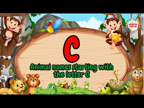 Animal names starting with the letter C
