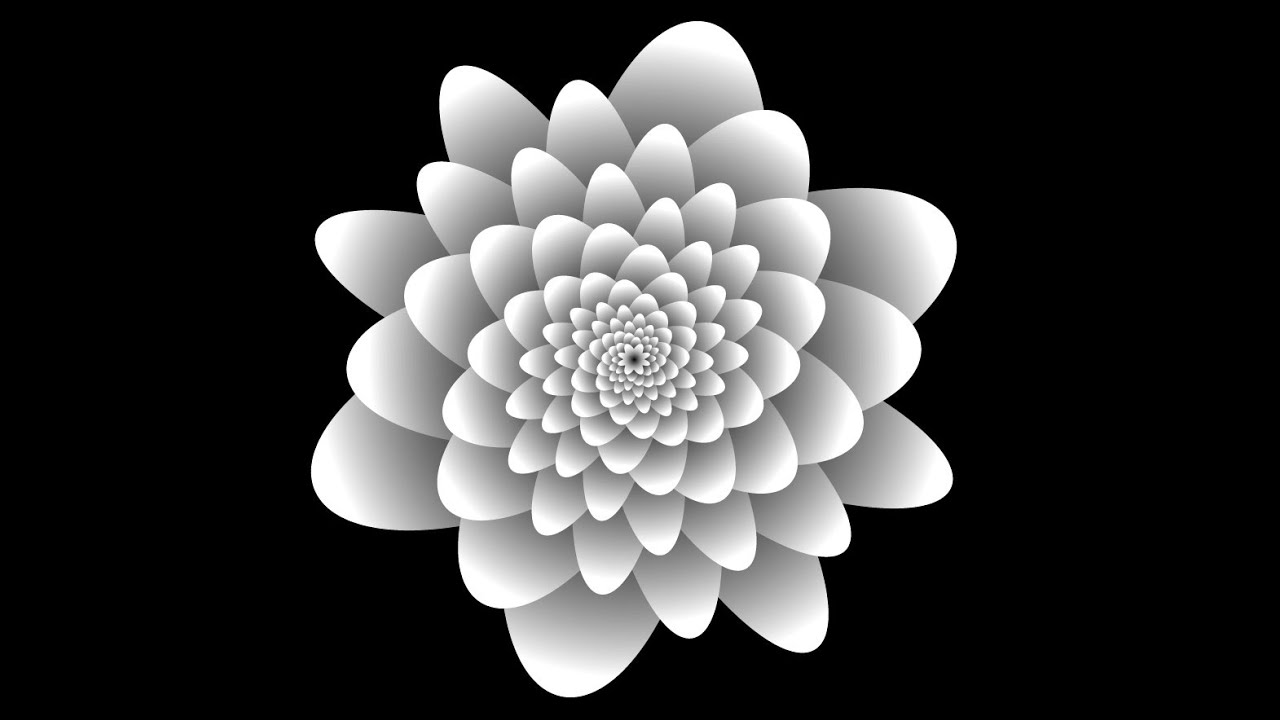 Vector Floral Design in Adobe Illustrator #shorts #illustrator