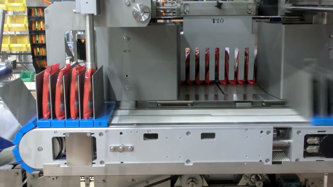 CPS Case Packing Systems - GCL