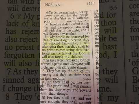 Hosea 4:6 my people are destroyed for lack of knowledge: