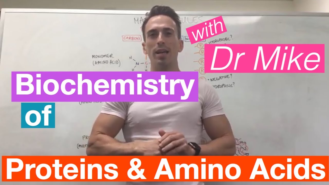 Proteins & Amino Acids | Biochemistry