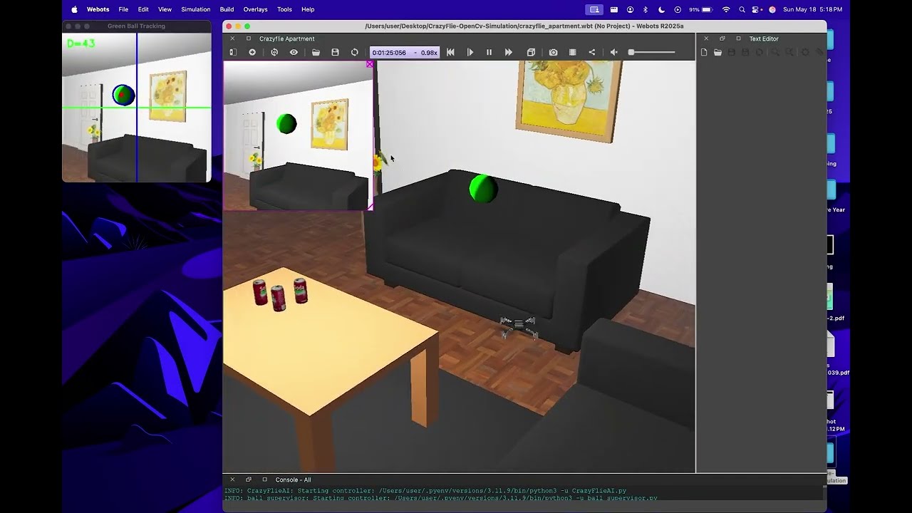 CrazyFlie Webots Camera Vision