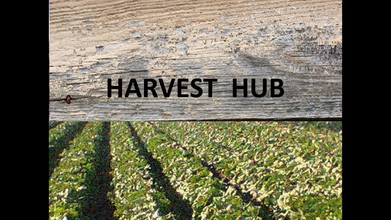 About Harvest Hub