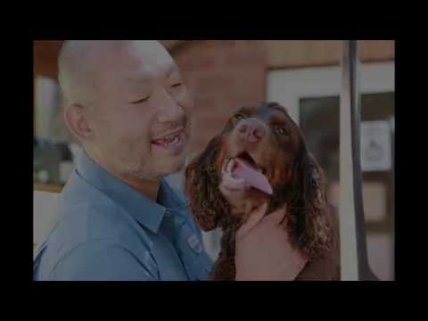 Ever wanted to be a dog groomer?