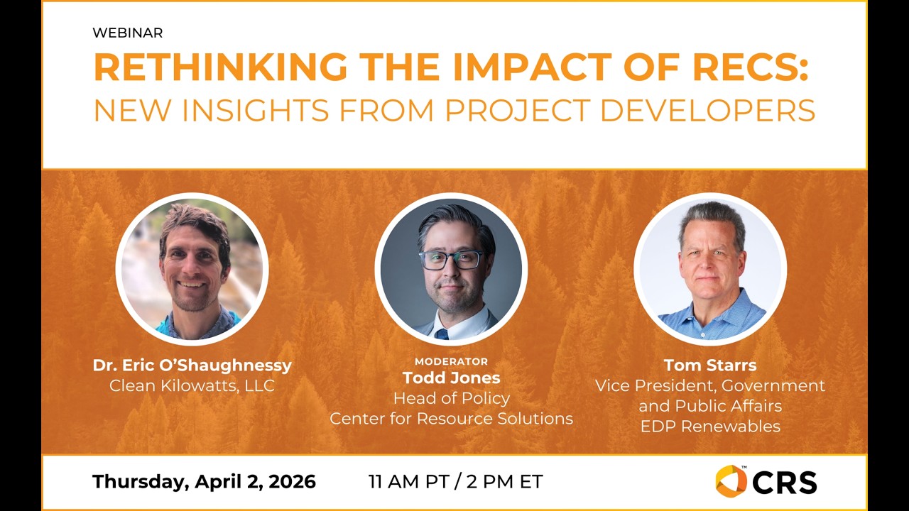 Rethinking the Impact of RECs: New Insights from Project Developers (Part I)