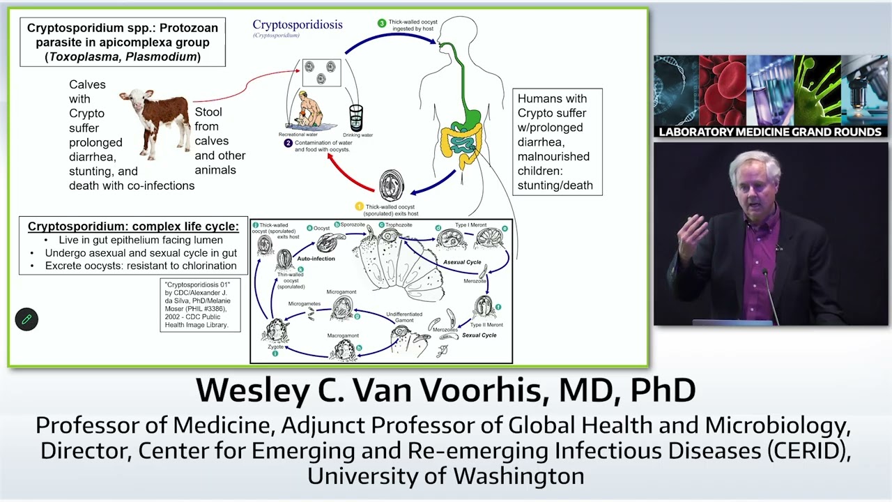 Structure-Guided Drug Design for Cryptosporidiosis