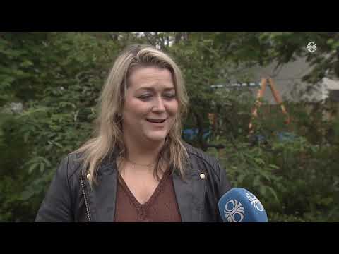 Fréttir - 24. jún 2025