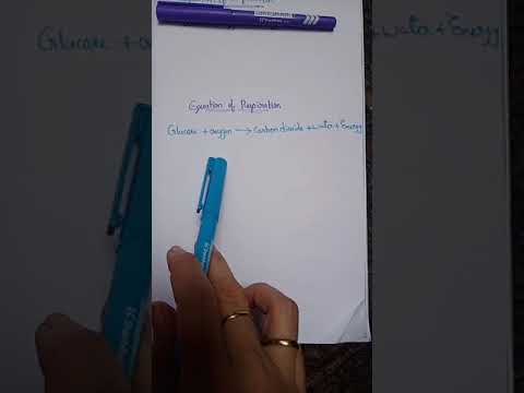 equation of respiration