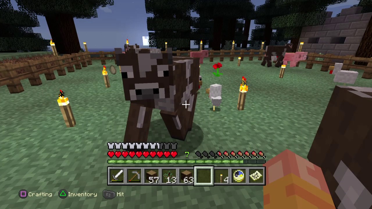 Minecraft: 4 chicks in one egg!