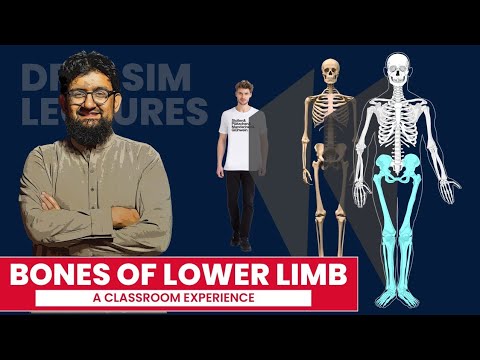Bones of Lower Limb | Hindi / Urdu