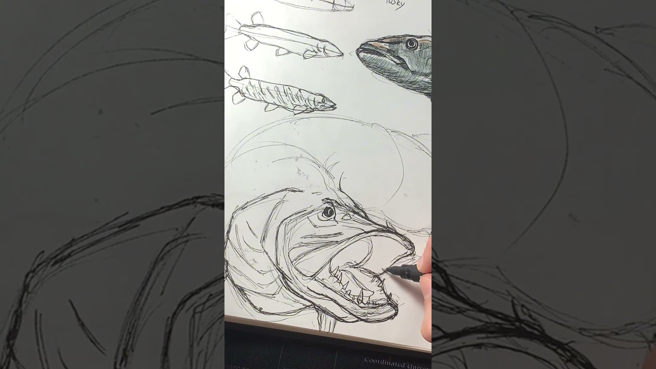 Dynamic Sketching / Fish - Musky #shorts