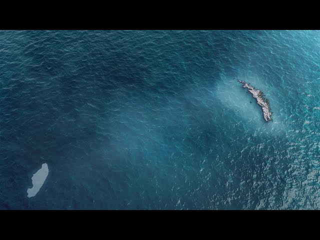 Se Rompe Uno De Los Icebergs Más Grandes De Todos Los Tiempos Site Name