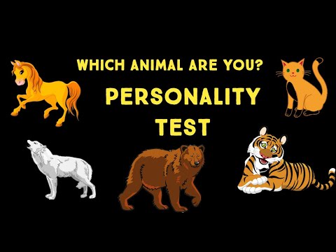 Which animal are you? Personality Test