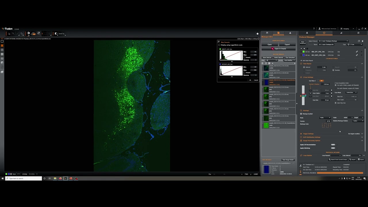 12   Z stack timelapse protocol